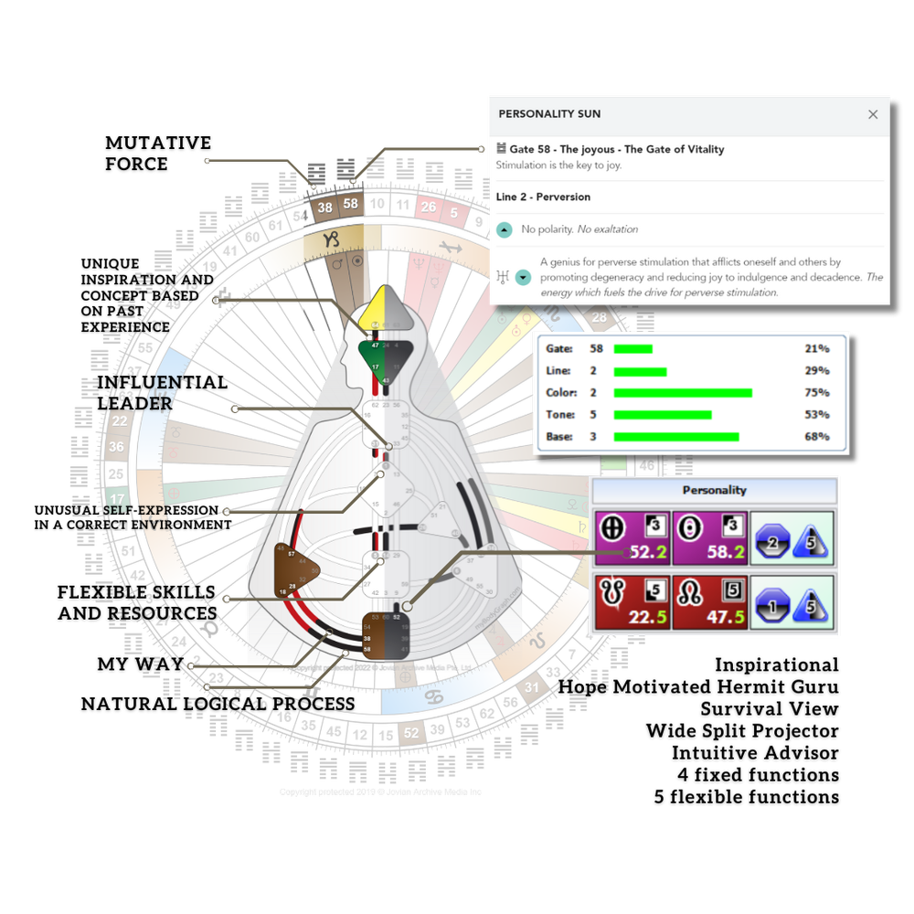 Human Design Reading and BG5 Career Consulting with Rose Osman