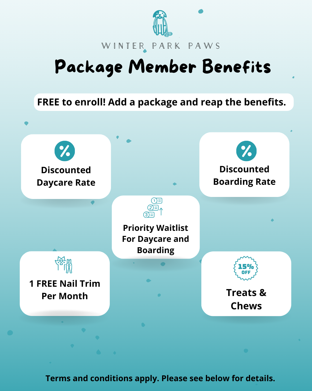 Affordable Dog Daycare and Boarding prices at Winter Park Paws | Winter ...