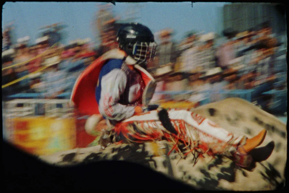 Jaripeo — INDOX