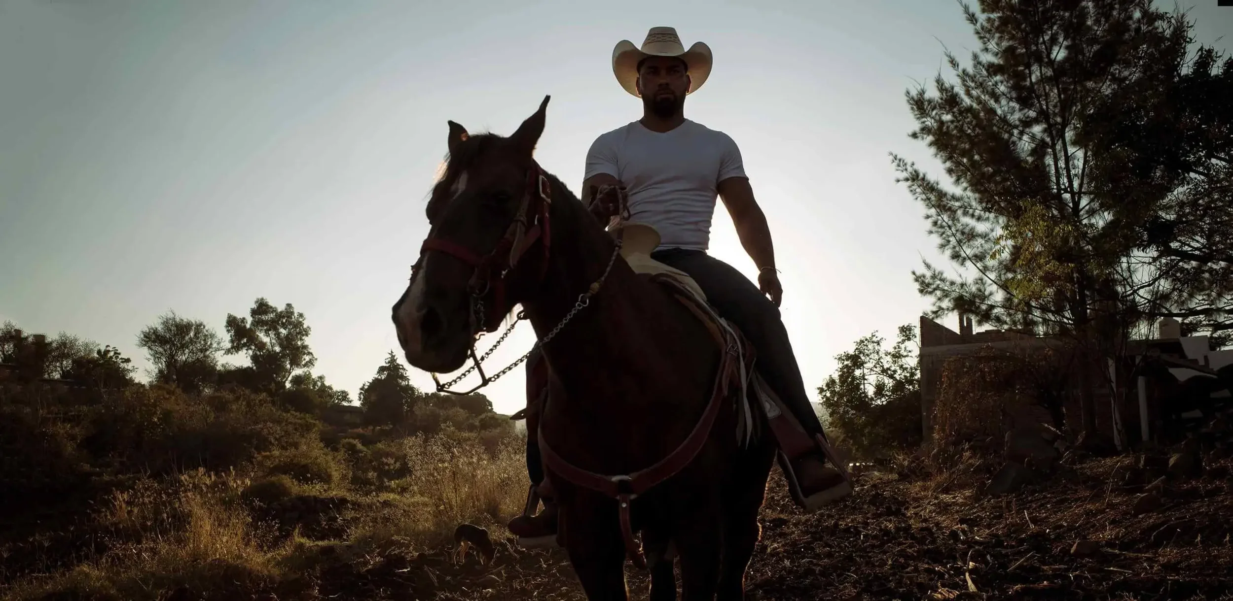 Jaripeo — INDOX