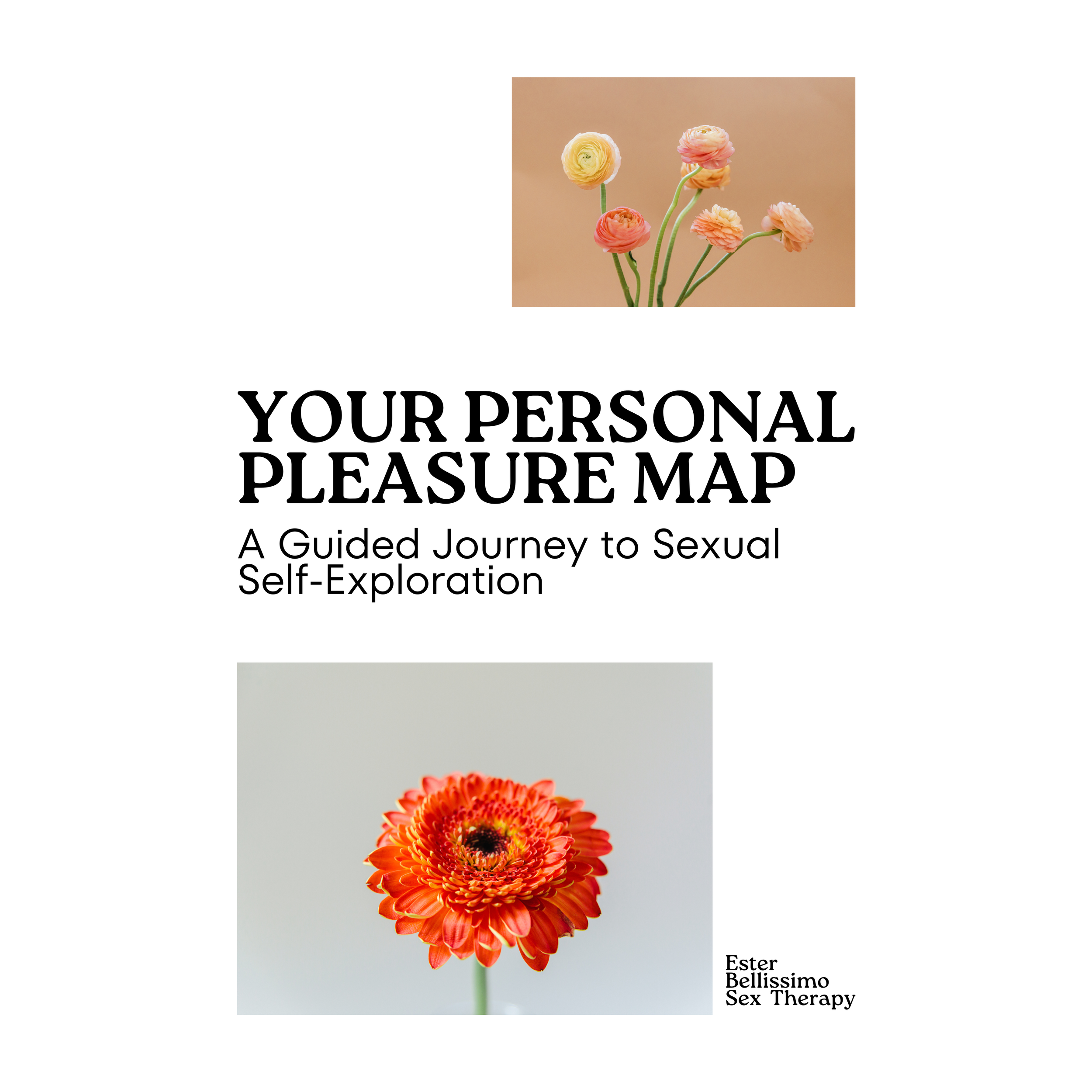 Your Personal Pleasure Map — Ester Bellissimo Sex Therapy