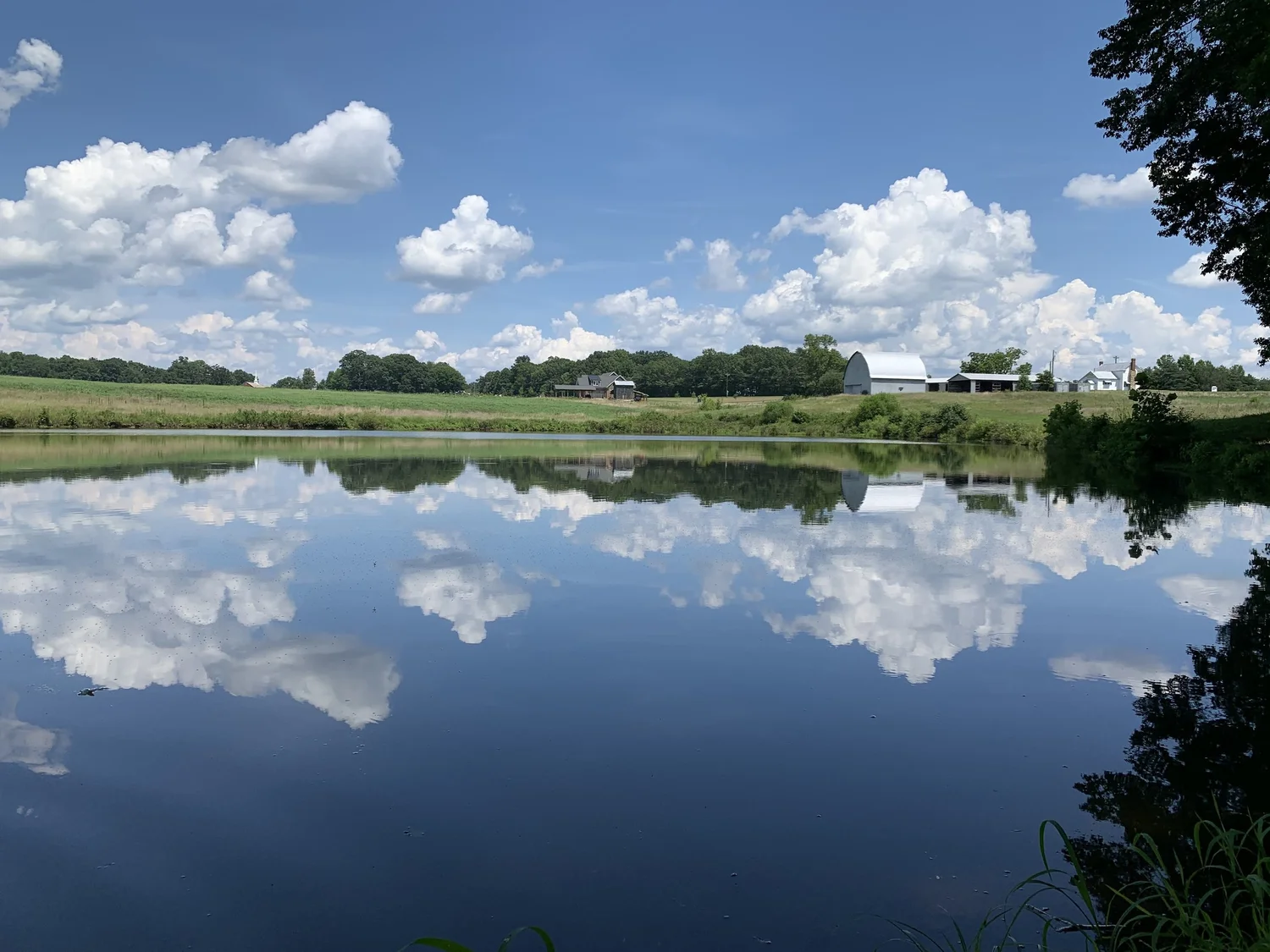 About Us — Rolling Meadow Farm