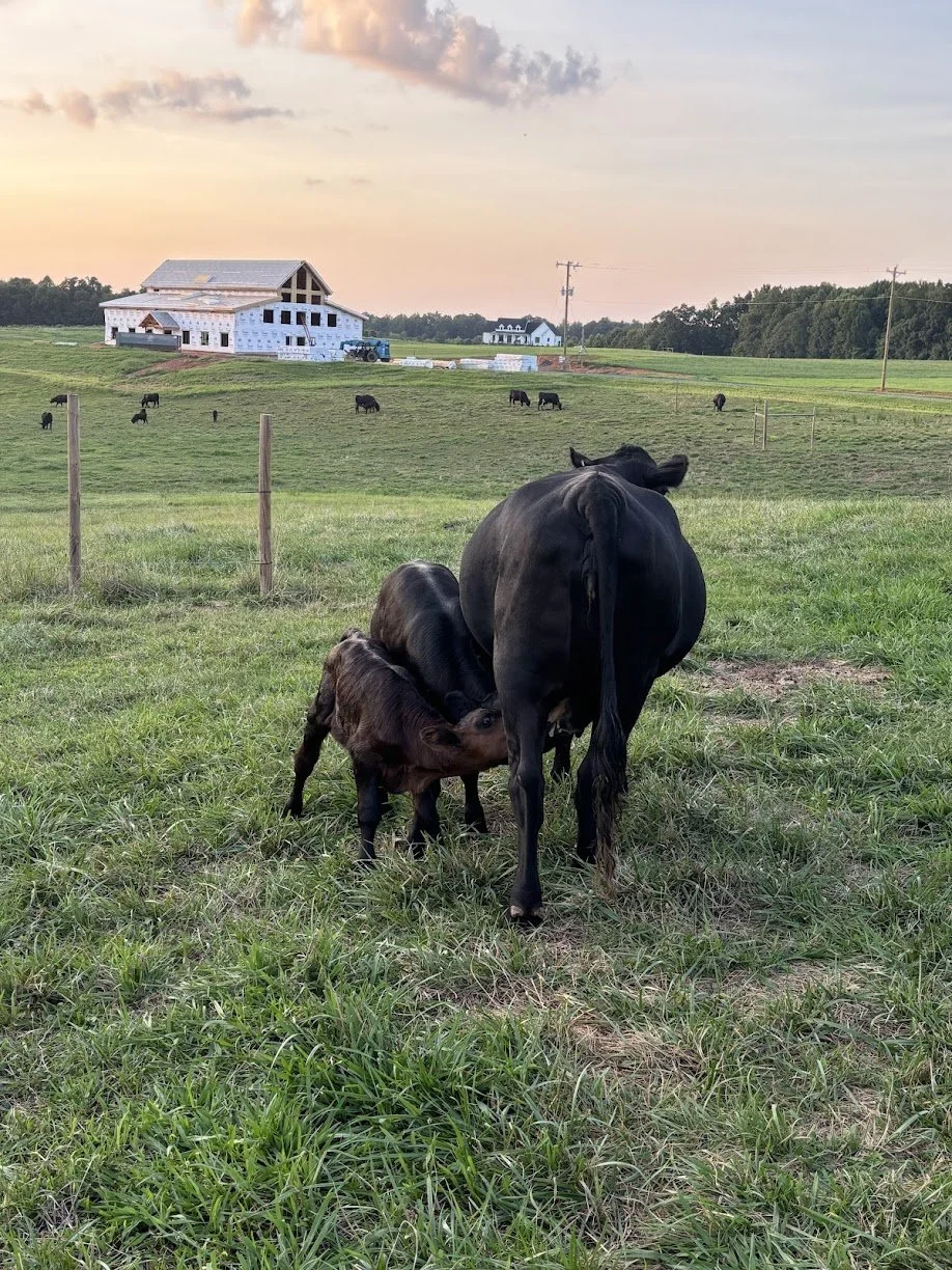 About Us — Rolling Meadow Farm