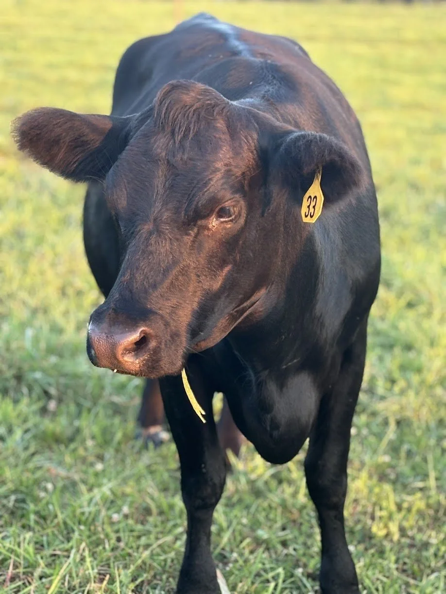About Us — Rolling Meadow Farm