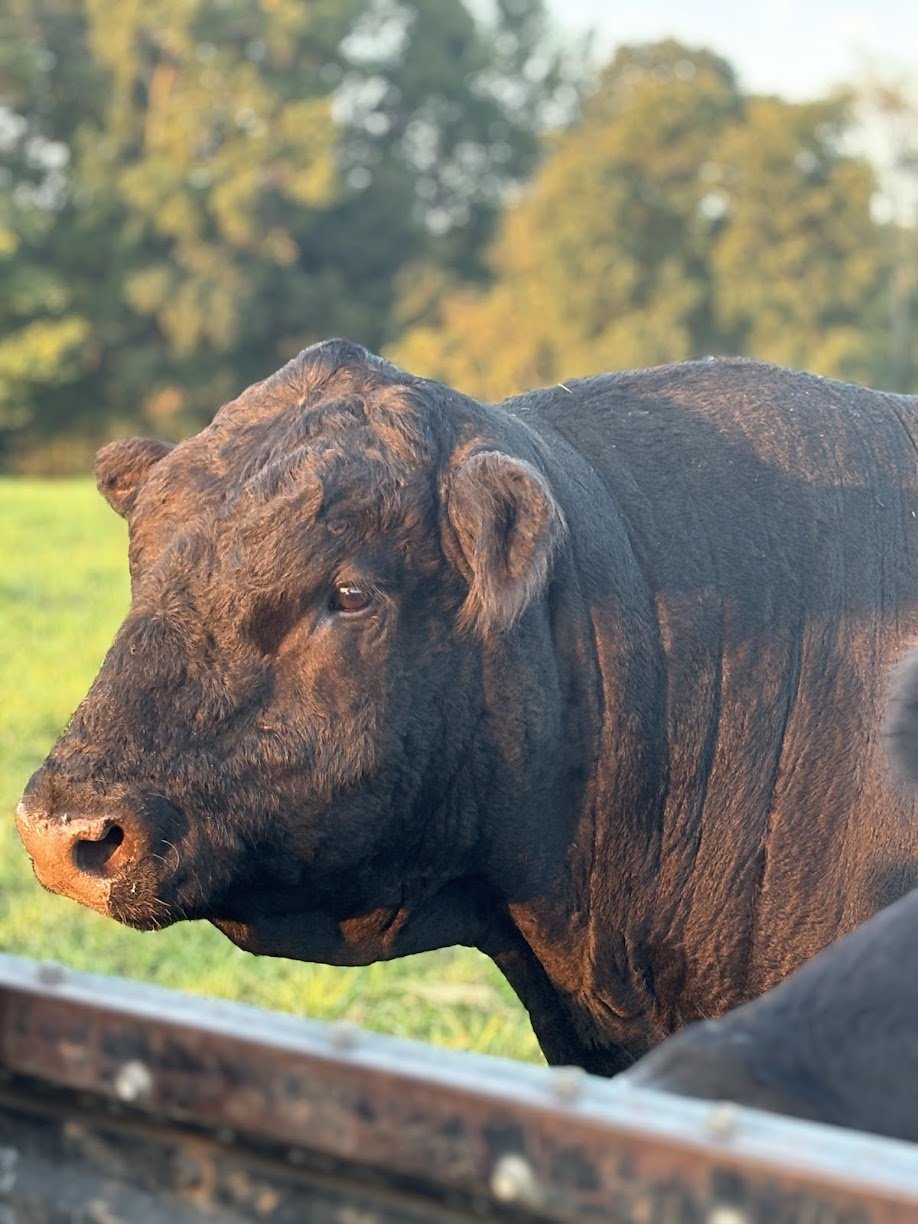 About Us — Rolling Meadow Farm