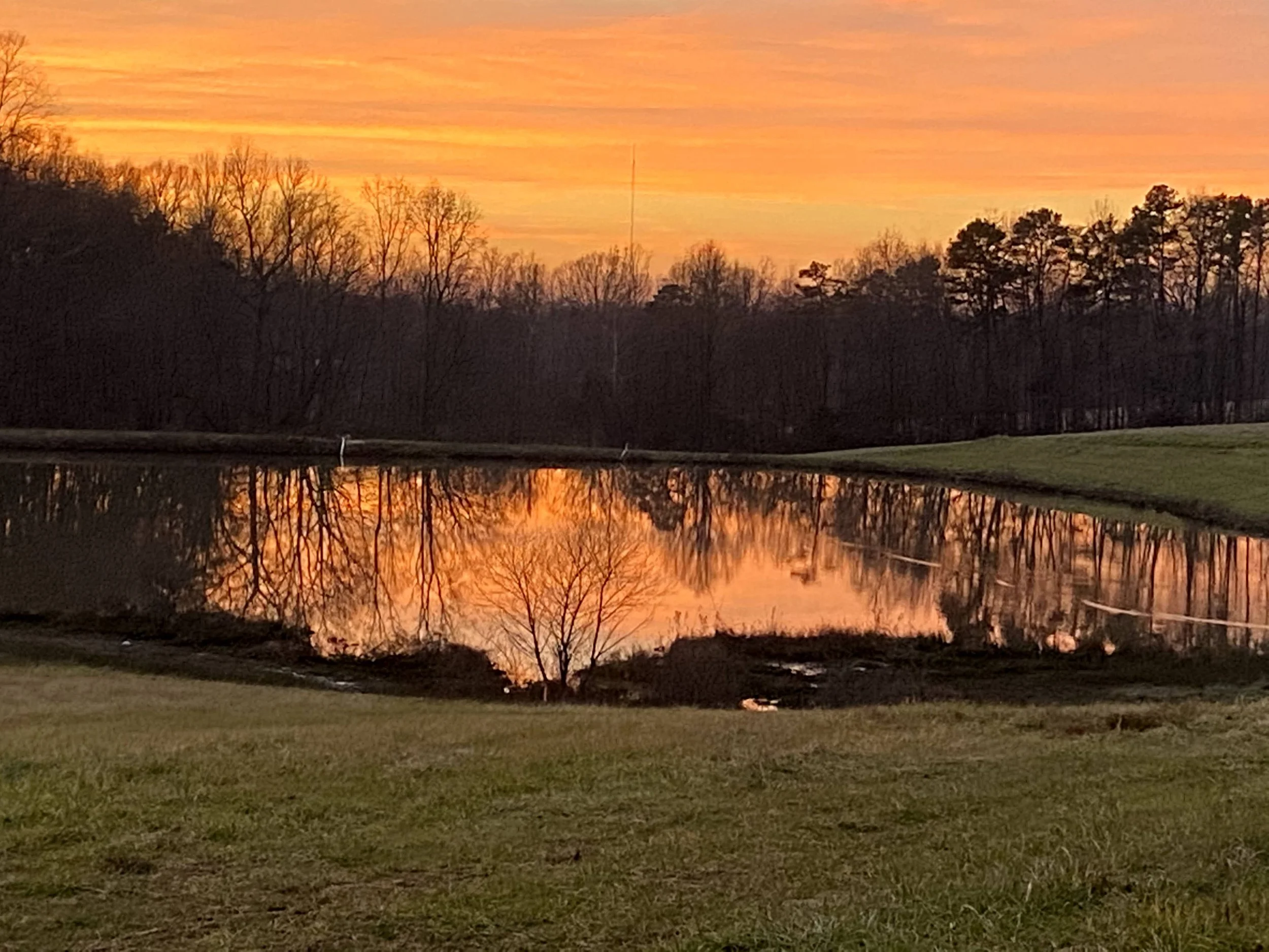 Rolling Meadow Farm