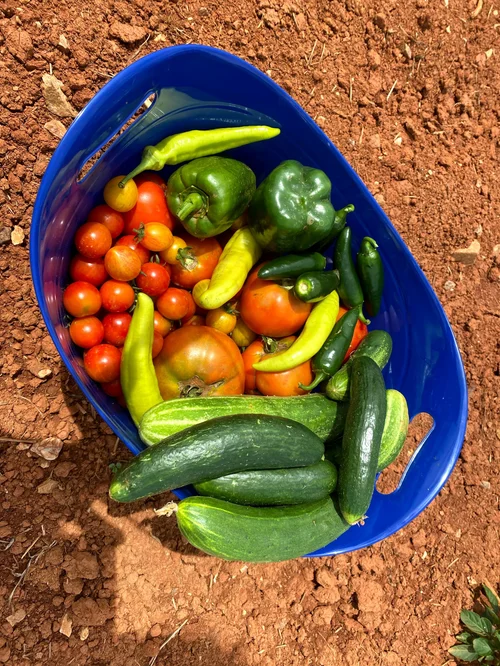 About Us — Rolling Meadow Farm