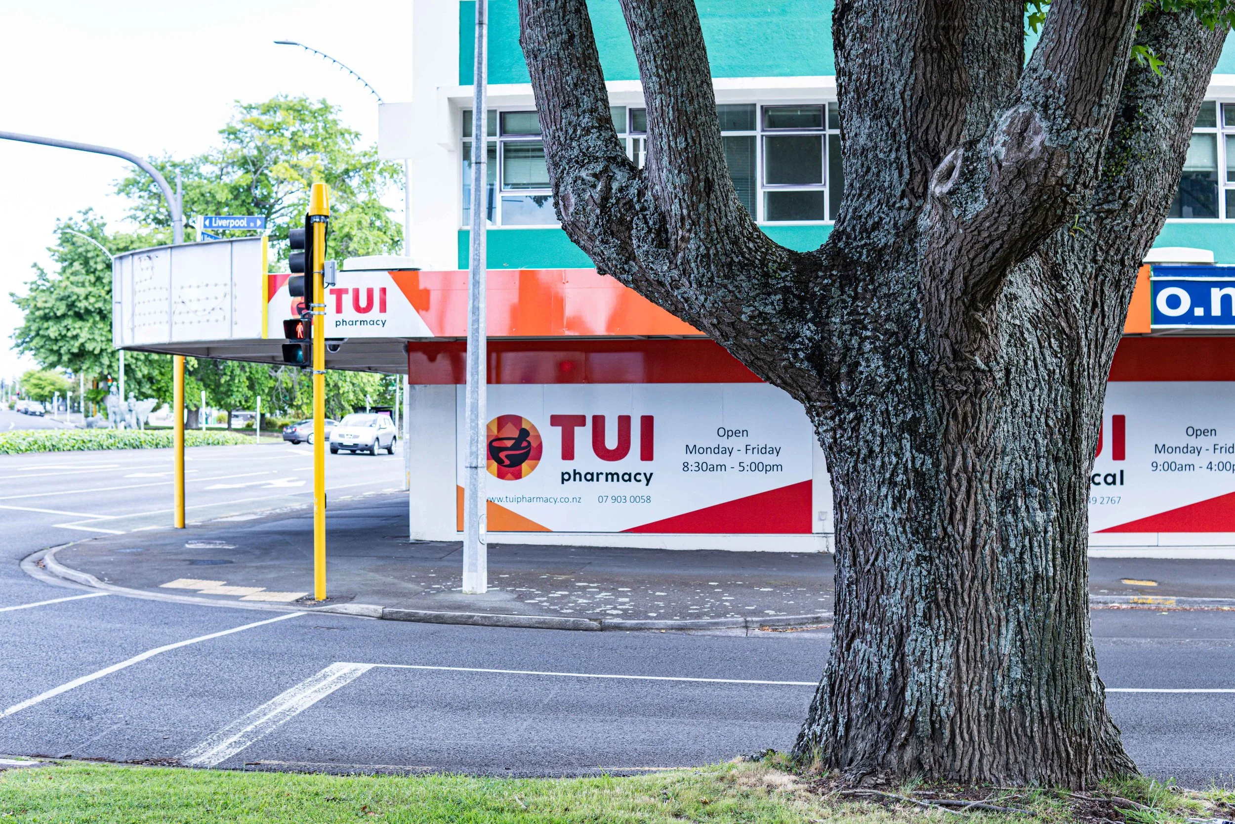 Tui Medical Clinics | Rototuna, Te Rapa, Parkwood, Huntly & More ...