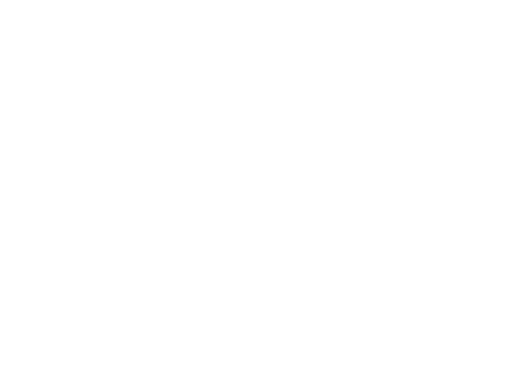 The Wheelsmith Cycles | Explore & Ride Today