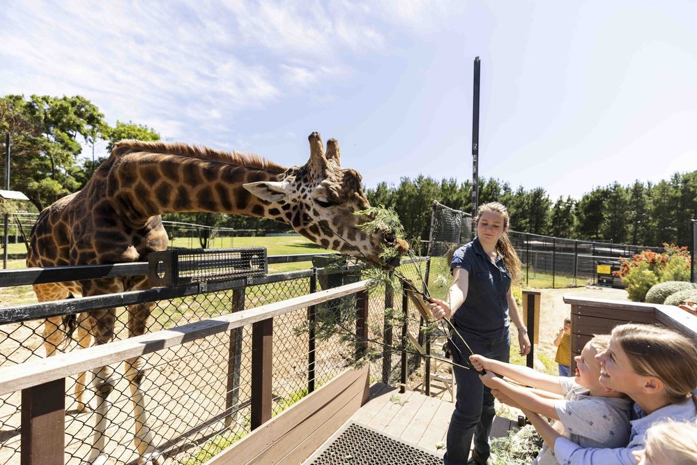 Tours & Encounters | Discover & Engage Today — National Zoo & Aquarium