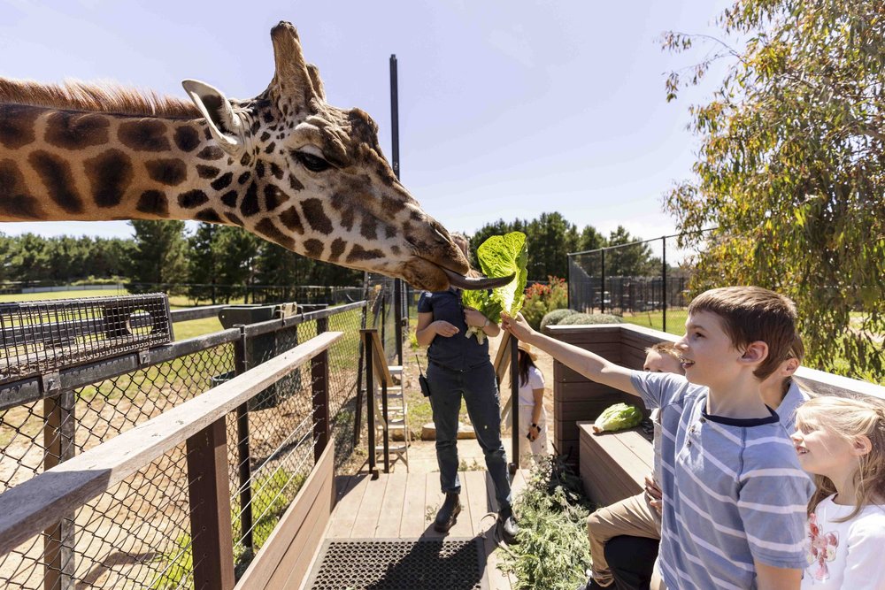 Tours | Explore, Discover, Visit Today — National Zoo & Aquarium