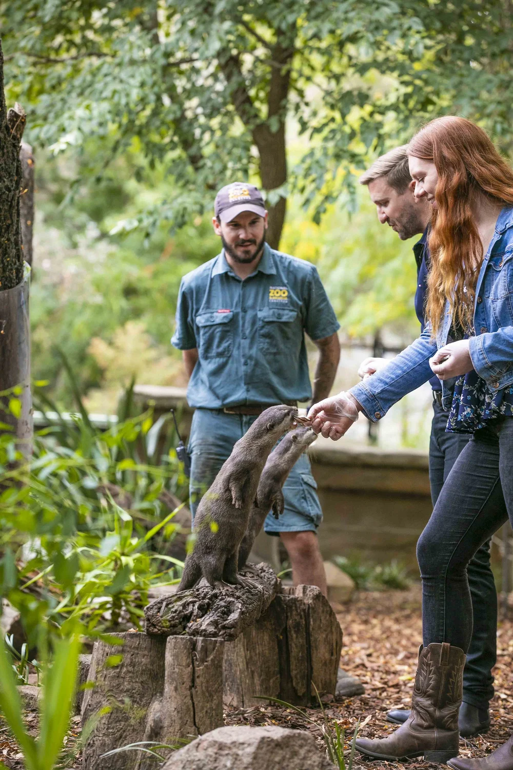 Tours | Explore, Discover, Visit Today — National Zoo & Aquarium