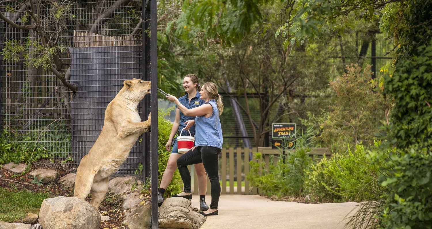 Encounters | Discover & Visit Today — National Zoo & Aquarium