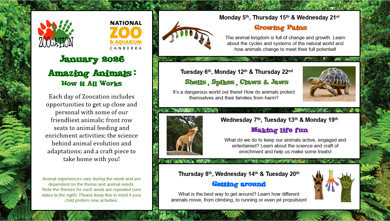 Zoocation | Discover, Learn, and Join Today — National Zoo & Aquarium