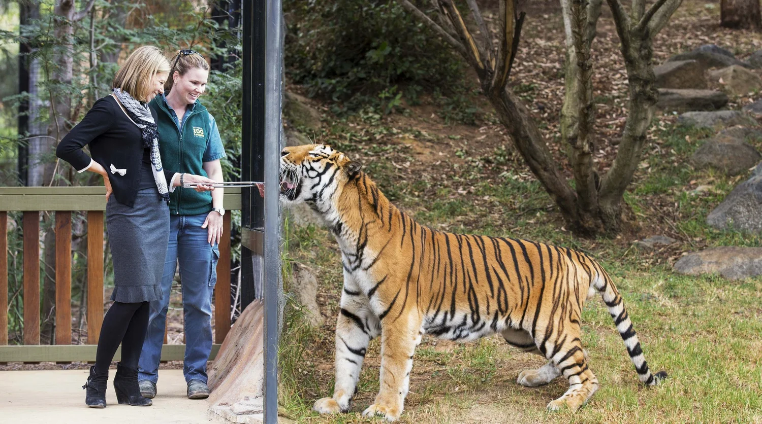 Encounters | Discover & Visit Today — National Zoo & Aquarium