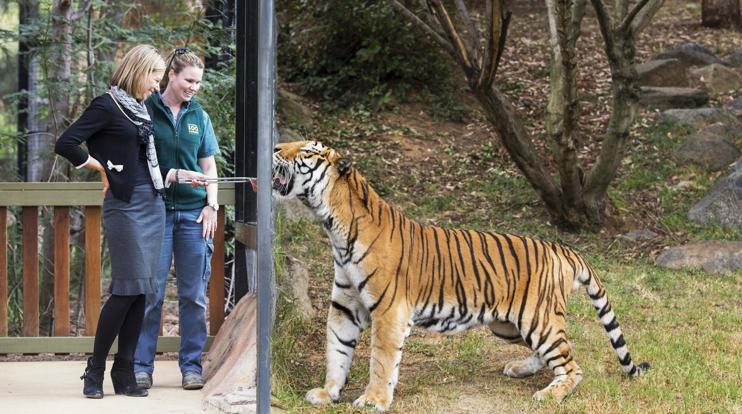 Encounters | Discover & Visit Today — National Zoo & Aquarium