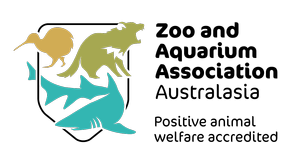 Accredited Zoo | Discover & Visit Today — National Zoo & Aquarium