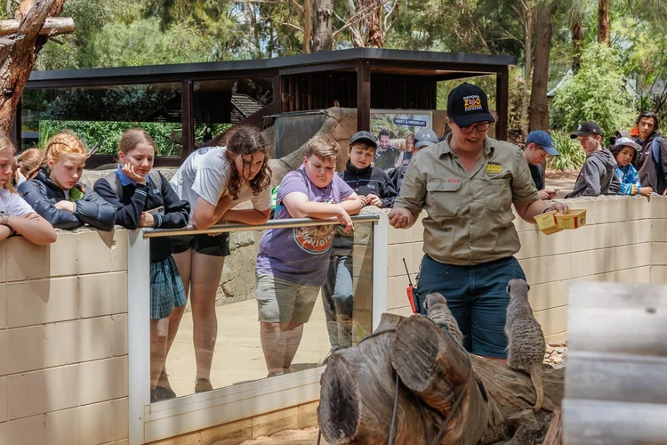 Visitor Information | Discover & Experience Today — National Zoo & Aquarium