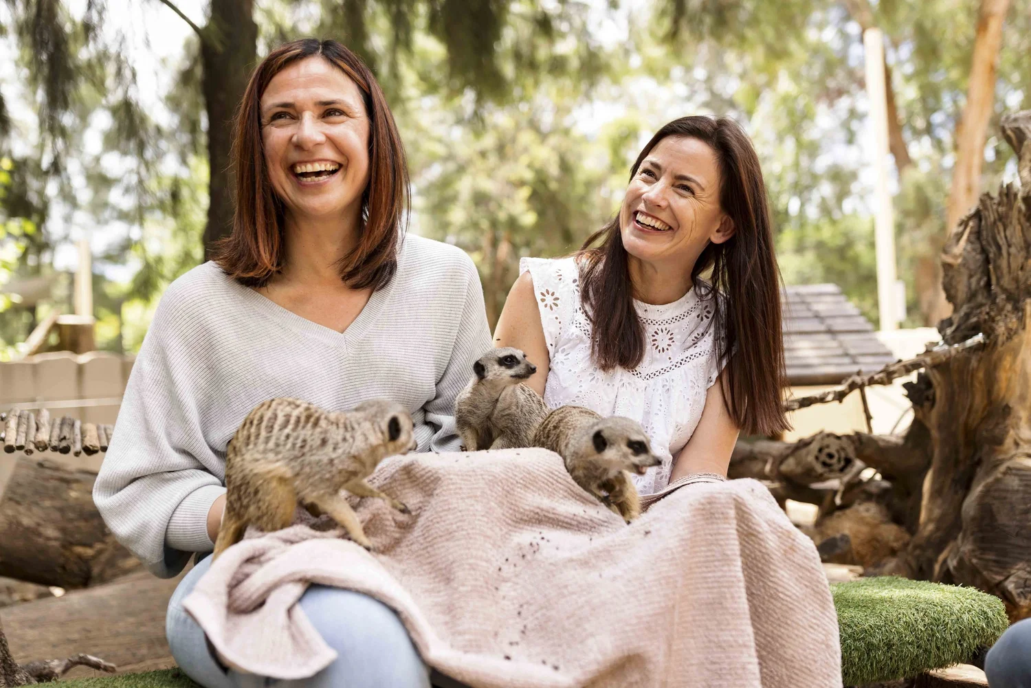 Tours & Encounters | Discover & Engage Today — National Zoo & Aquarium