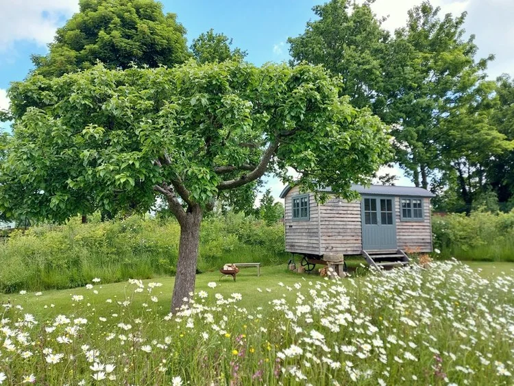 Rural Country Garden Design - Northamptonshire — Bel Grierson Garden ...