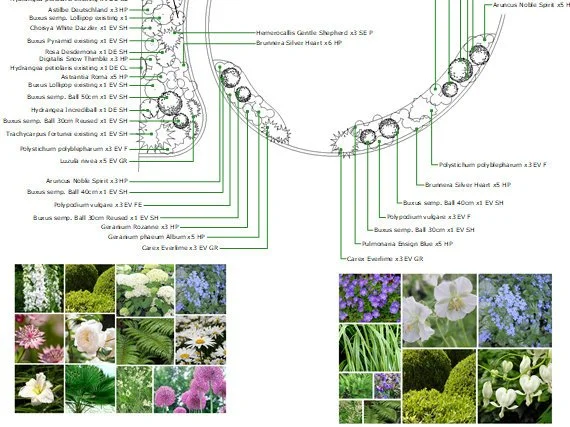 Planting Design — Bel Grierson Garden Designer & Plantswoman ...
