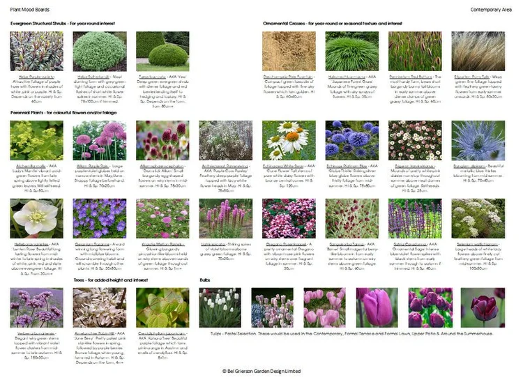 Planting Design — Bel Grierson Garden Designer & Plantswoman ...