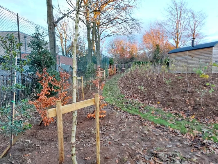 Rural Country Garden Design - Northamptonshire — Bel Grierson Garden ...