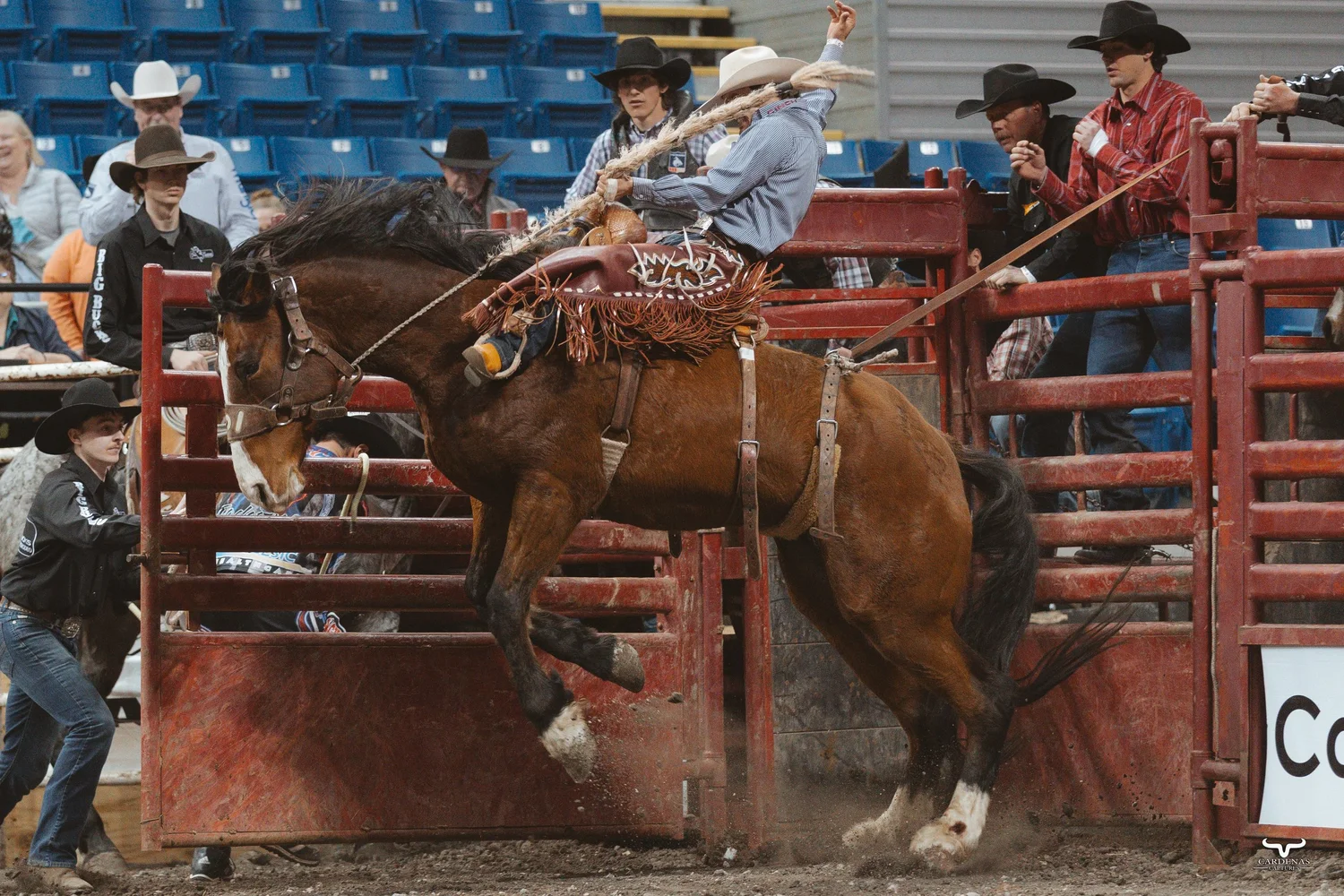 Fargo PRCA Rodeo