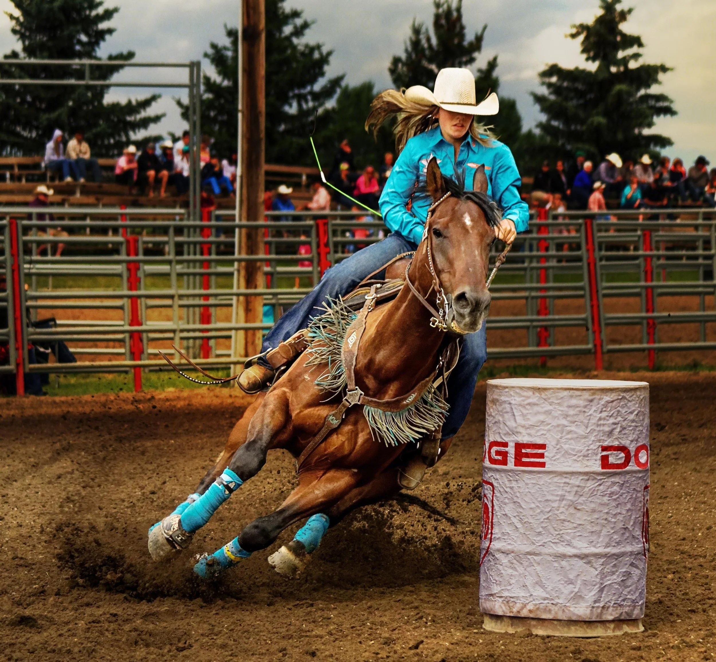 Fargo PRCA Rodeo