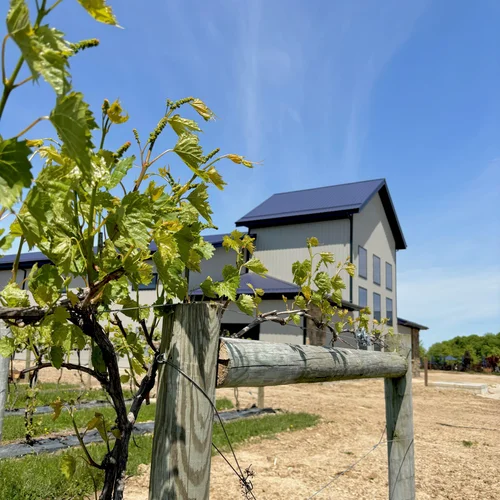 Country Heritage Winery | Indiana's Premier Vineyard & Winery — Country ...