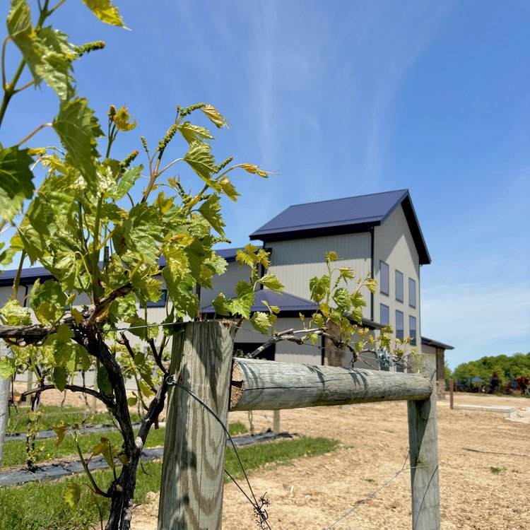 Country Heritage Winery | Indiana's Premier Vineyard & Winery — Country ...