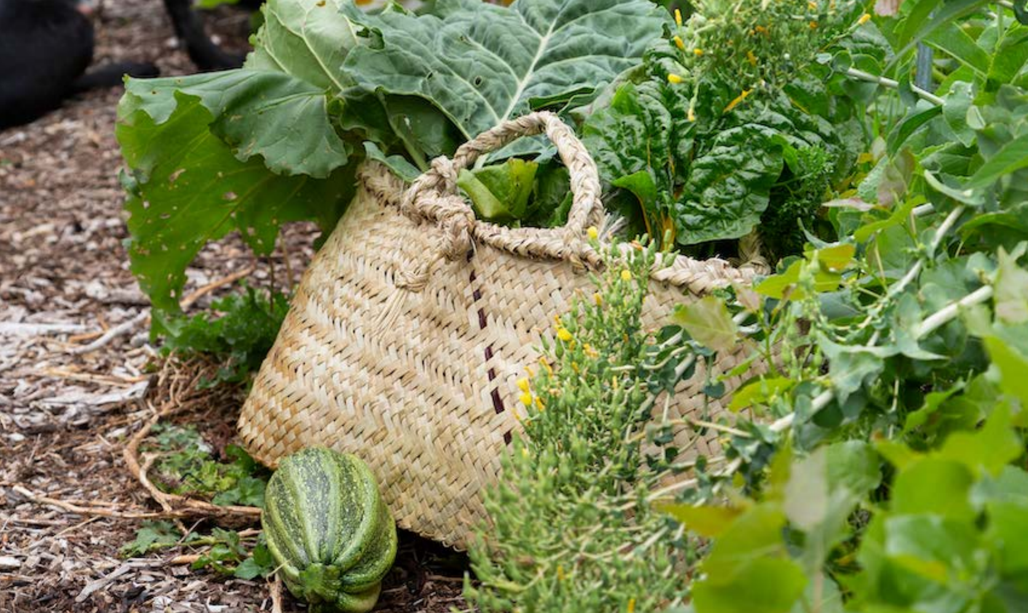 About — Te Tautara o Pukekohe