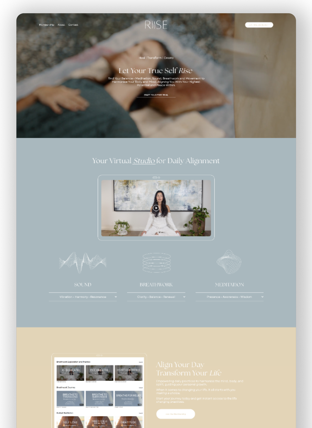 Quantuma Studio | Premium Templates, Websites and Design Services