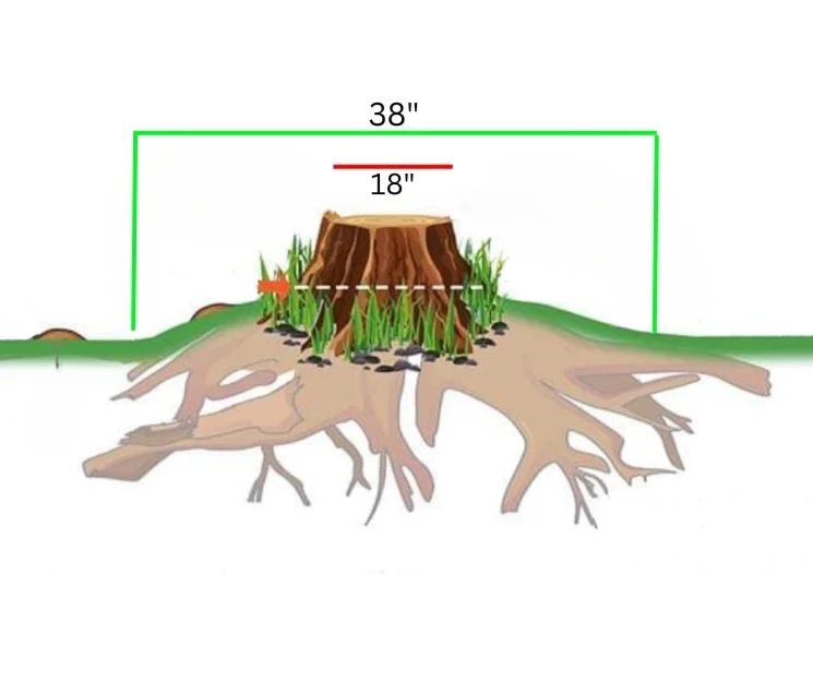 How We Price | Request Your Free Estimate Now — Stump Stompers