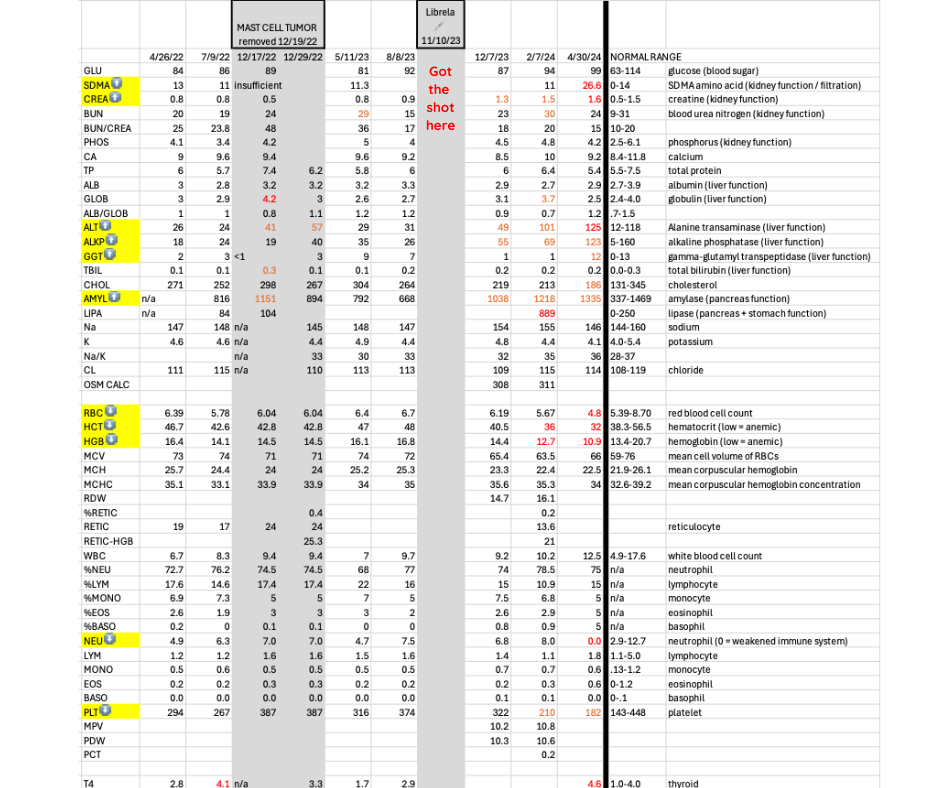 Case Study — Librela Potential Side Effects & Safety Warning