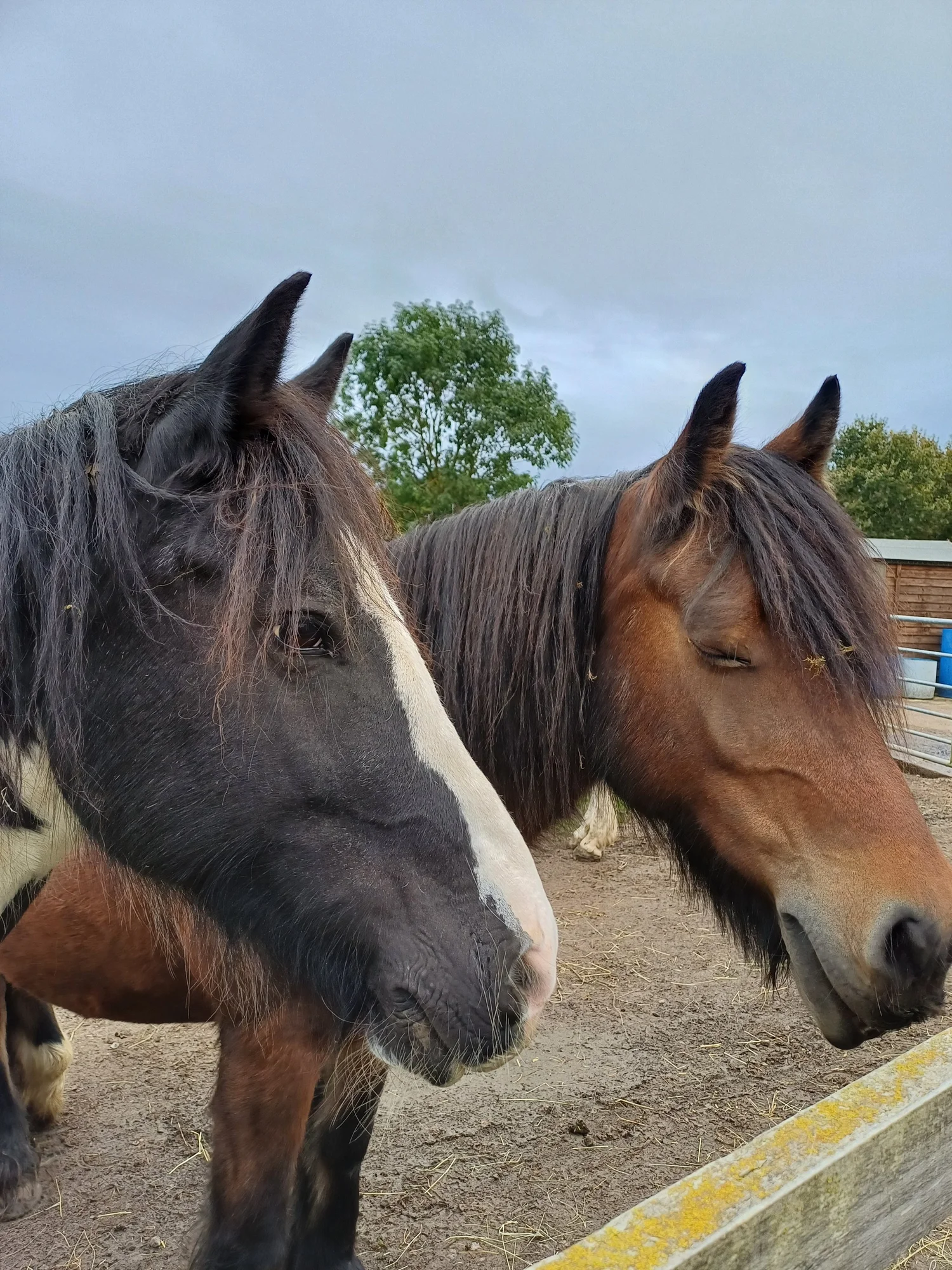Larkrise Community Farm