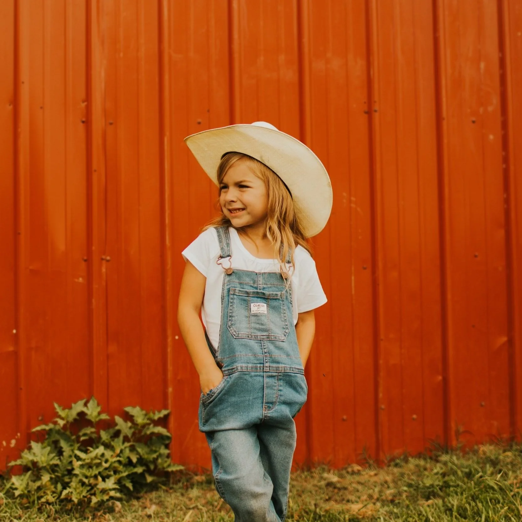 Sugar Creek Beef | High-Quality Meats | Local Beef & Pork | Family ...