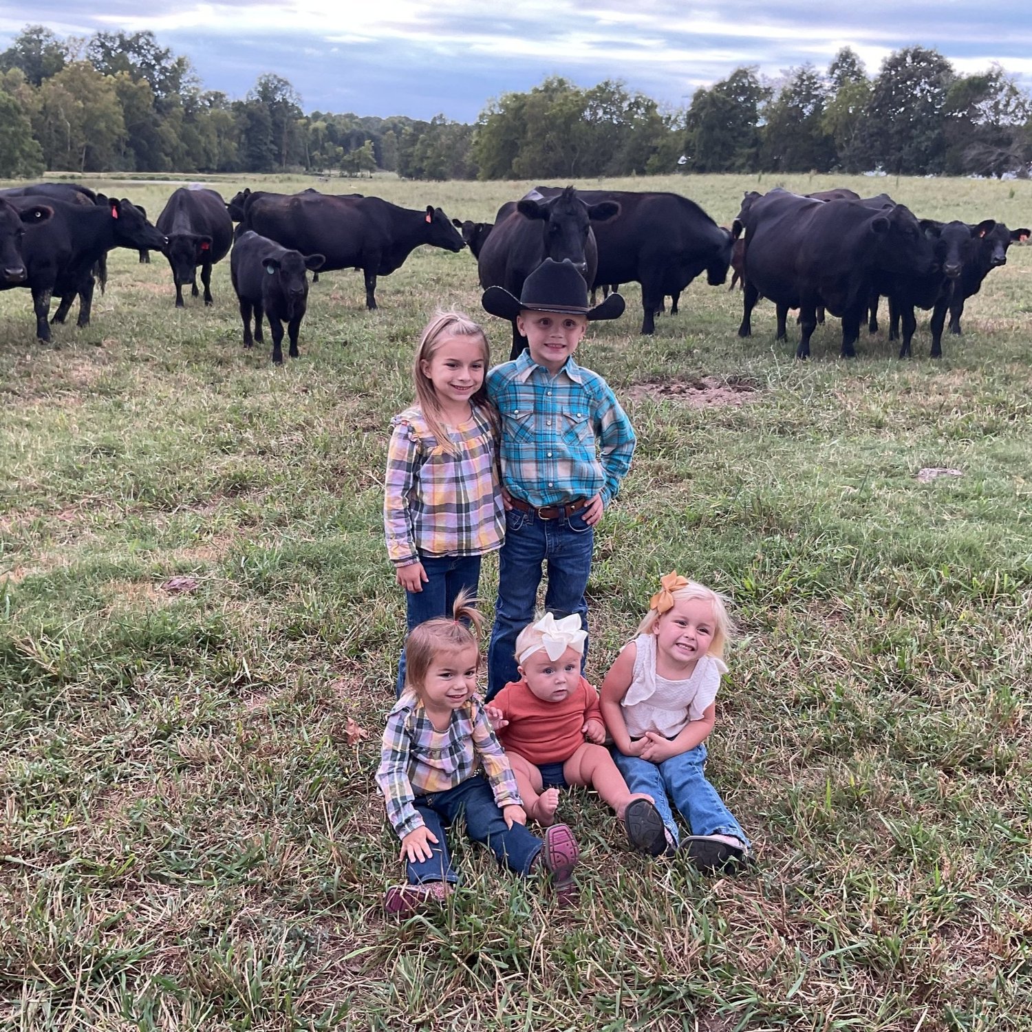 Sugar Creek Beef | High-Quality Meats | Local Beef & Pork | Family ...