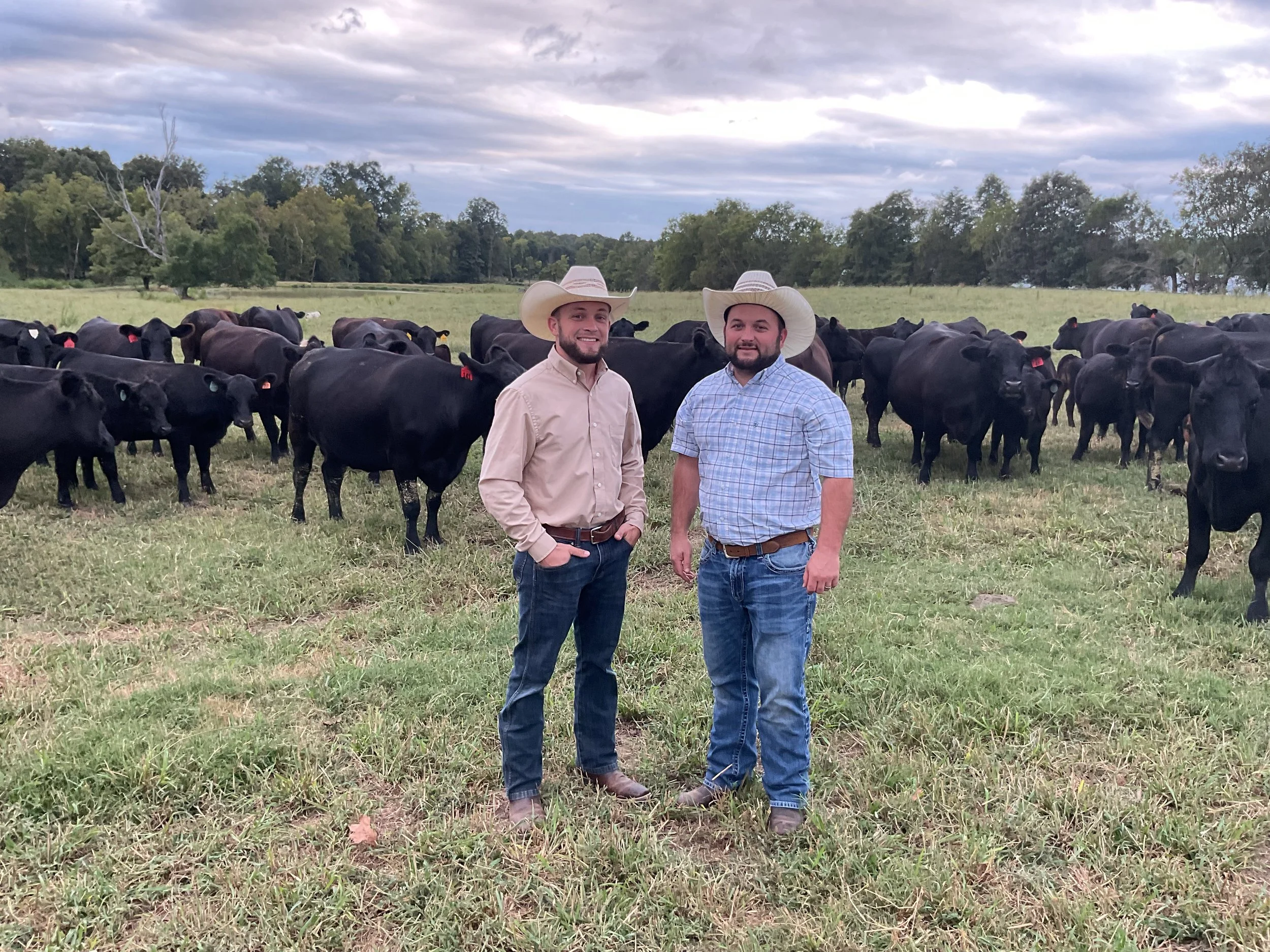 Sugar Creek Beef | High-Quality Meats | Local Beef & Pork | Family ...