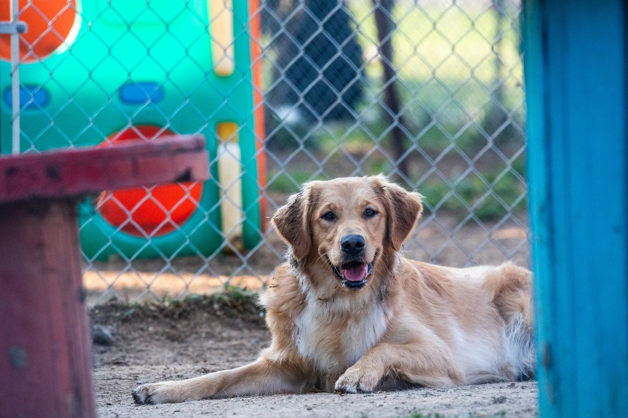 StoneHedge Kennel & Farm