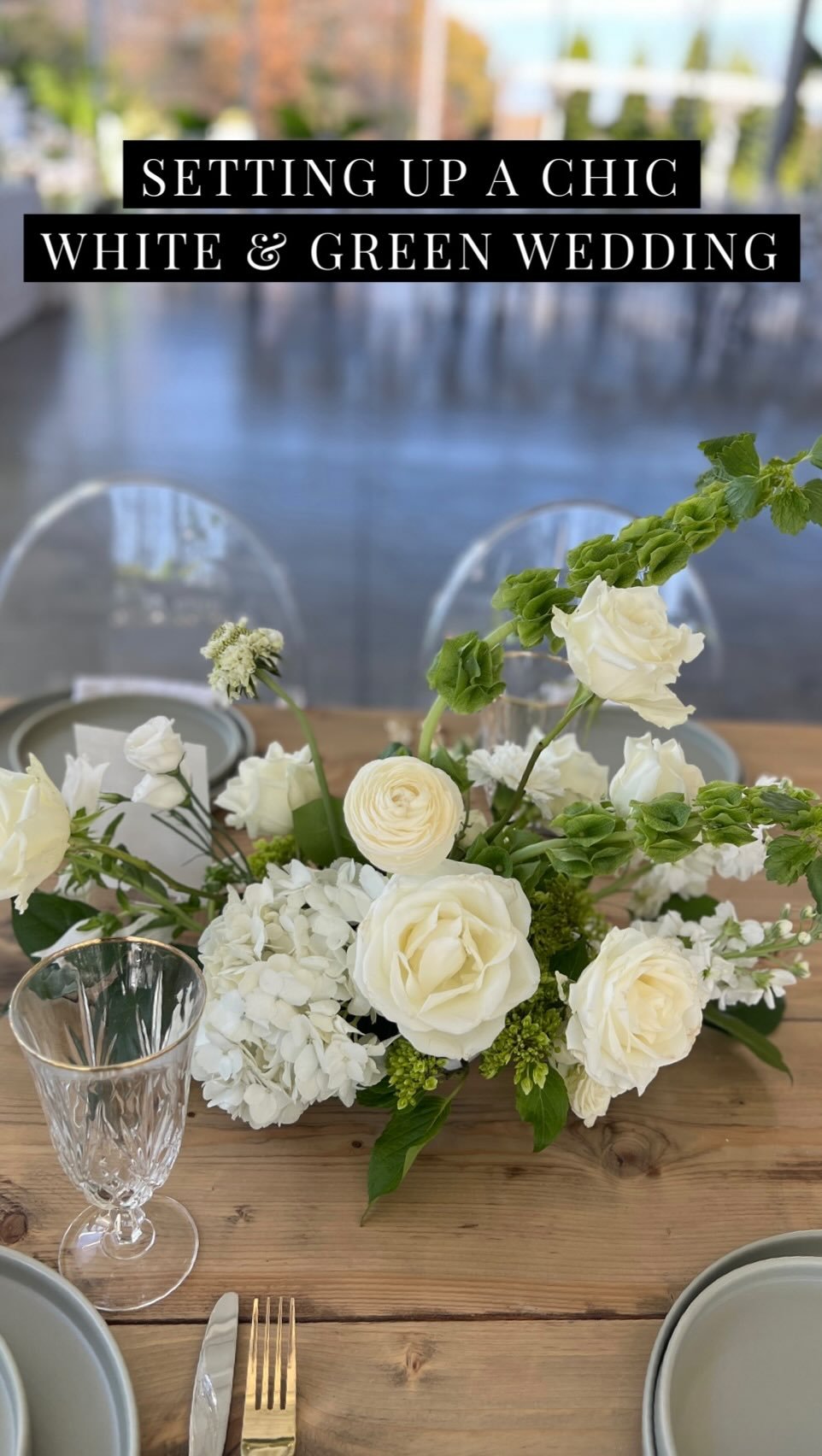 Our Favorite Roses: 2020 Edition — Queen City Blooms | Springfield ...