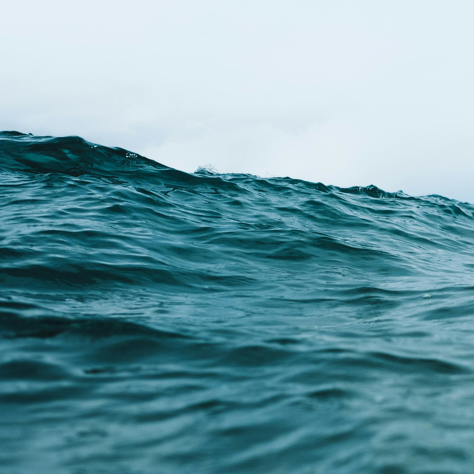 World Oceans Day: History, Importance, and How to Get Involved — Home ...