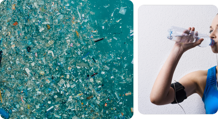 Microplastic’s Major Impact: From the Environment to our Bodies — Home ...