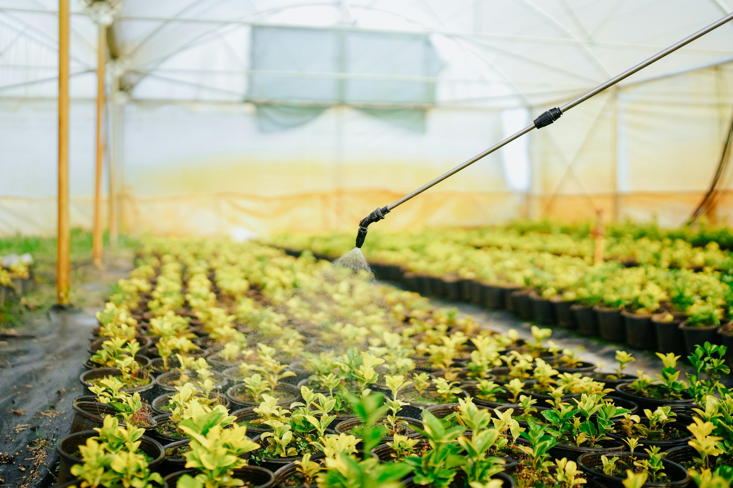 How to Turn On Your Irrigation System Efficiently