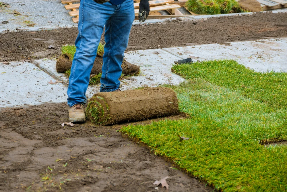 How to Successfully Grow Grass on Dirt