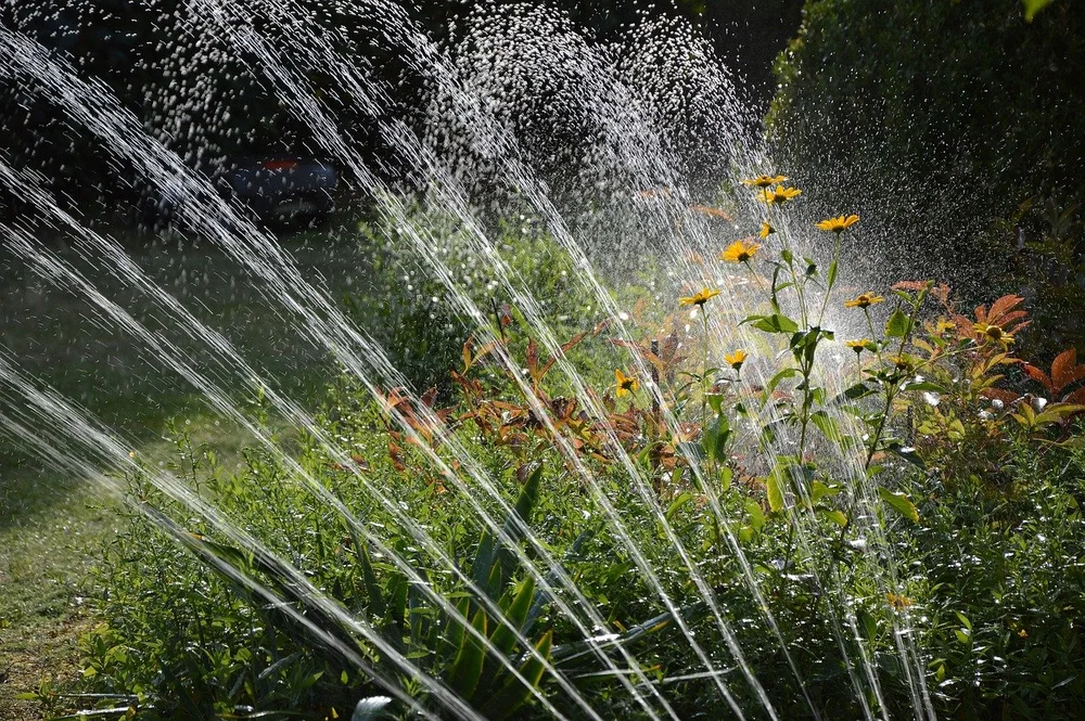 How to Turn On Your Irrigation System Efficiently