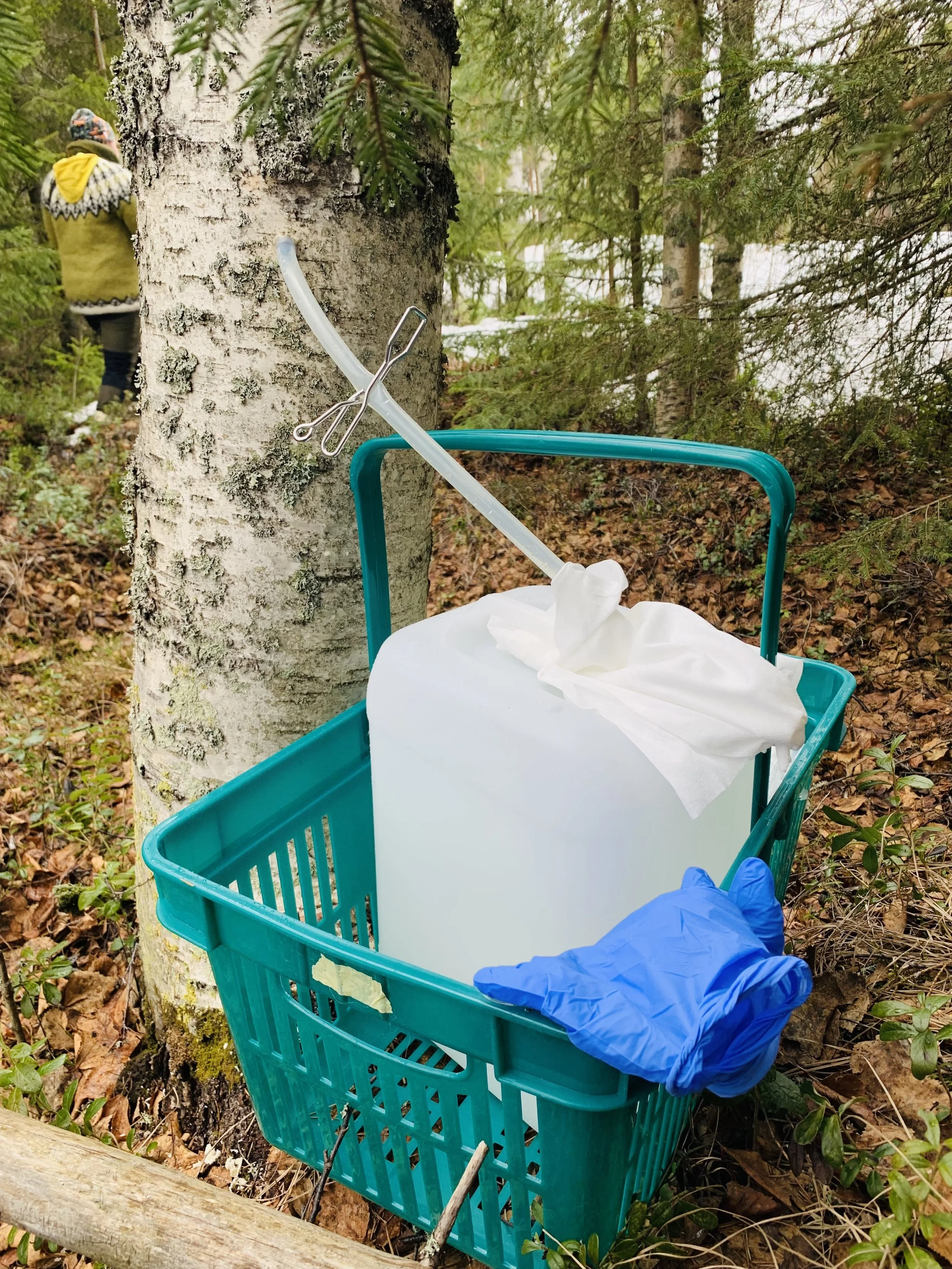 Luonnontuotteet ennen ja nyt — Magia Naturali