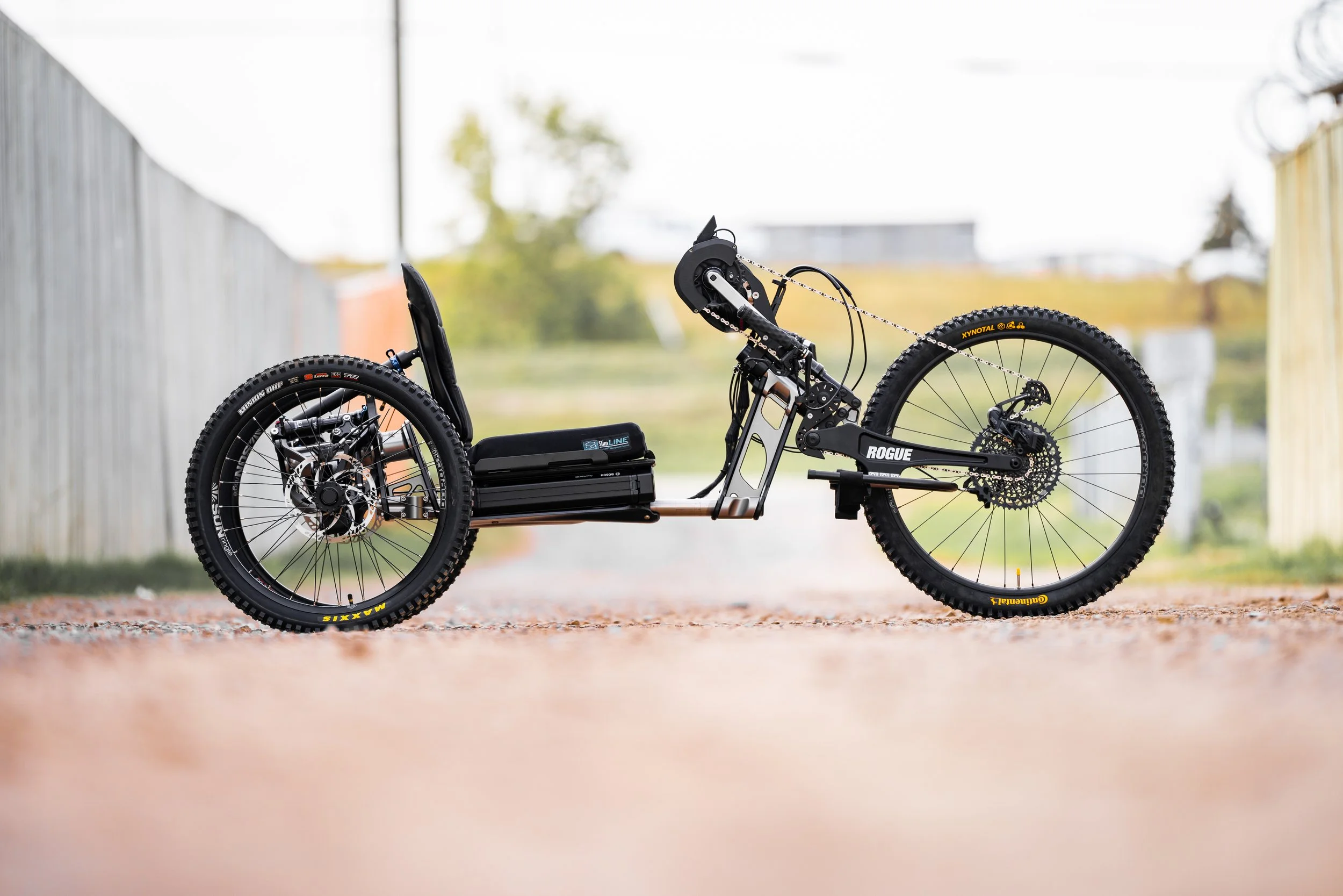 The Bowhead Rogue — Bowhead Corp