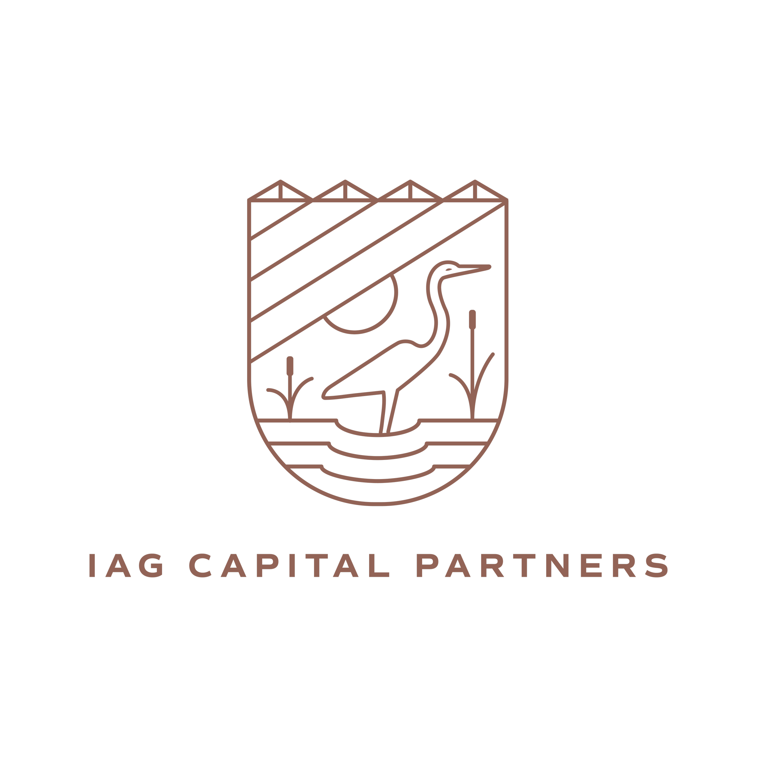 IAG Capital Partners