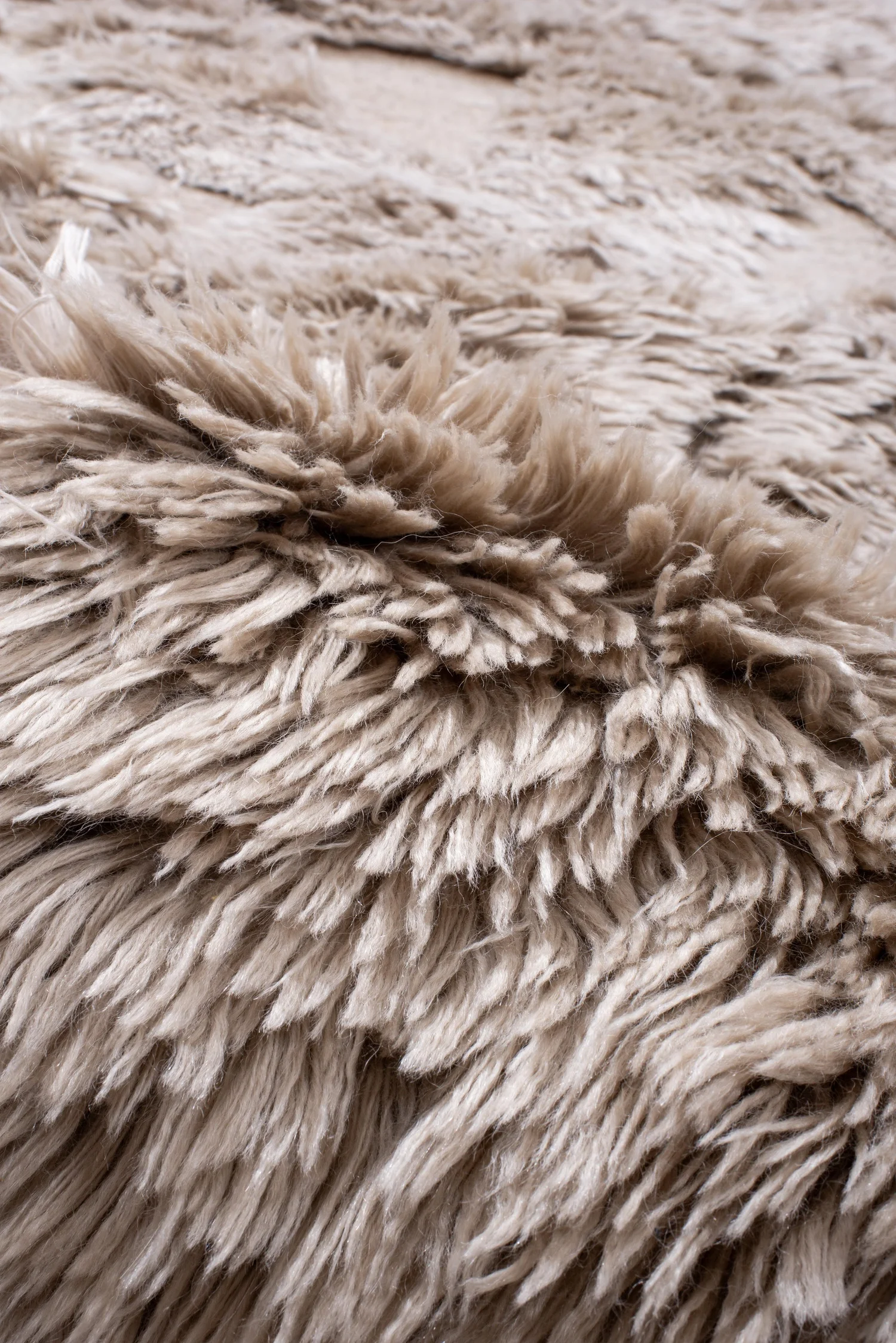 Store 2 — AMB RUG COLLECTION